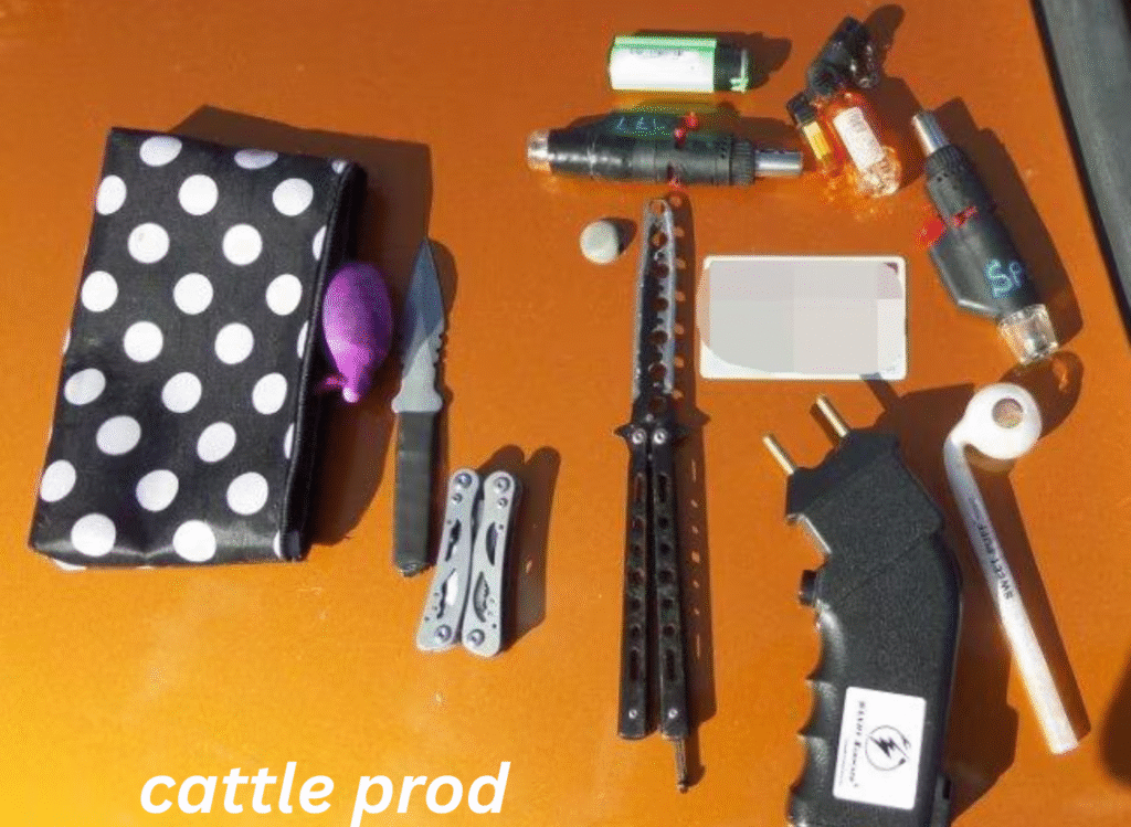 Everything You Need to Know About Cattle Prods Uses Safety and Alternatives